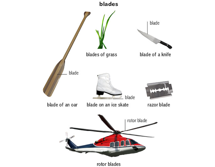 Grass 1 Noun Definition Pictures Pronunciation And Usage Notes