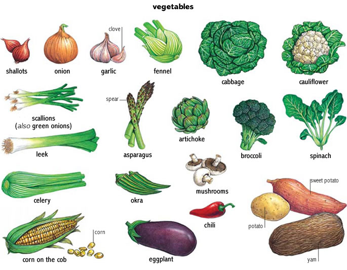 Vegetable Noun Definition Pictures Pronunciation And Usage Notes