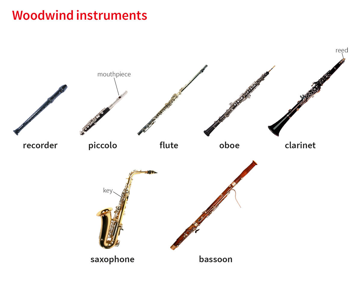 Woodwind Noun Definition Pictures Pronunciation And Usage Notes